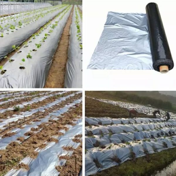 Novapack – Leading Plastic Manufacturers